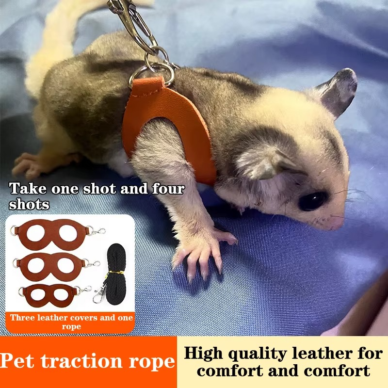 4Pcs Small Pets Chest Strap Hamster Squirrel Leash Anti Bite Traction ...
