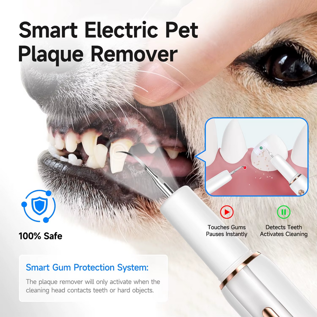 Electric Dog Teeth Cleaner Ultrasonic Dental Scaler Tartar Remover Wat ...
